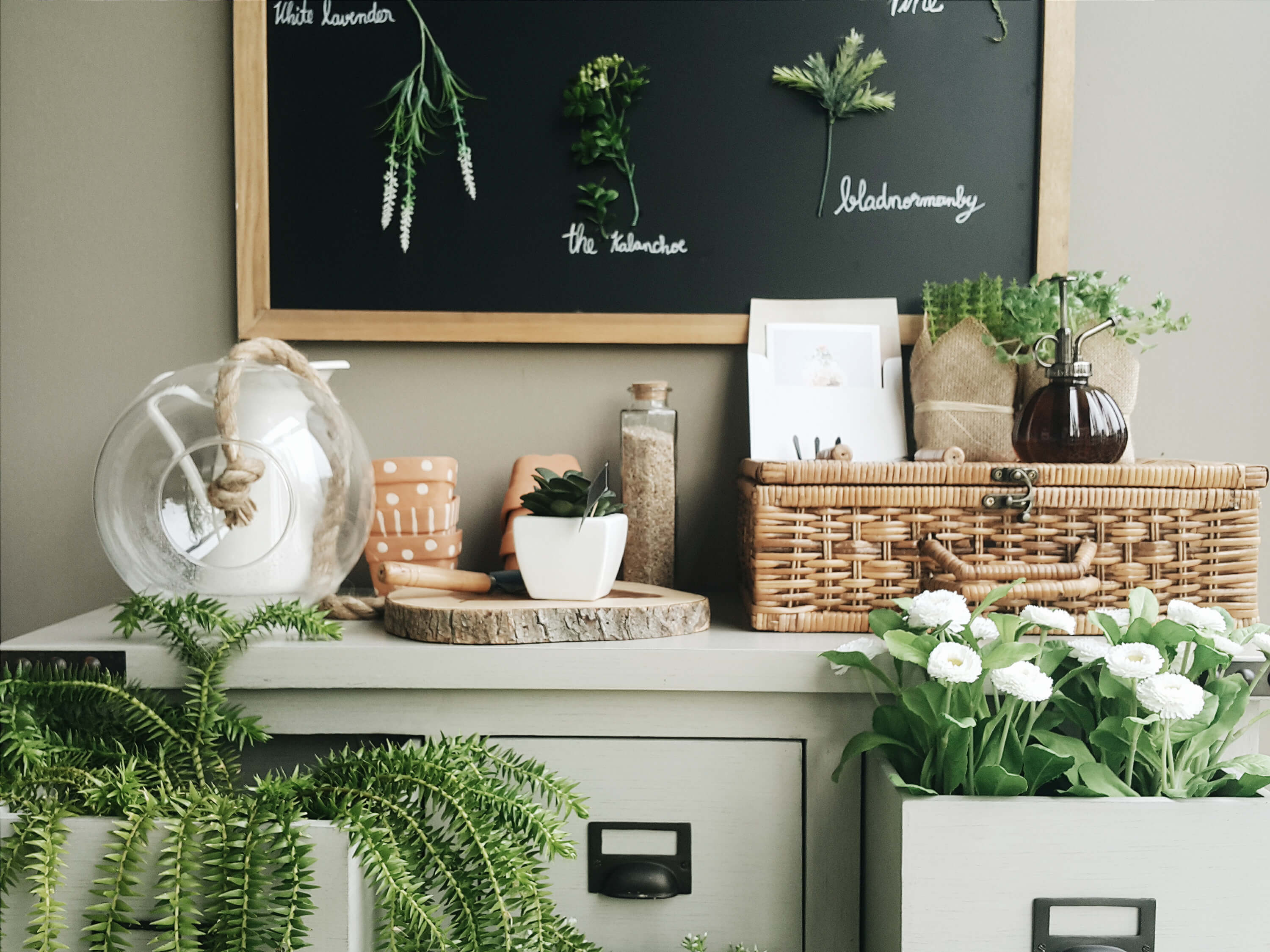 Piante in casa come sceglierle?